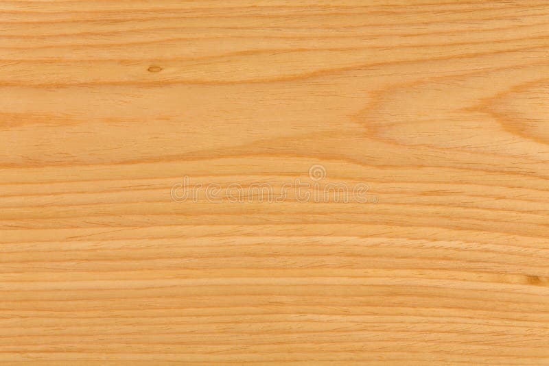 Texture of Natural Oak Wood. Stock Photo - Image of arboreal, closeup ...
