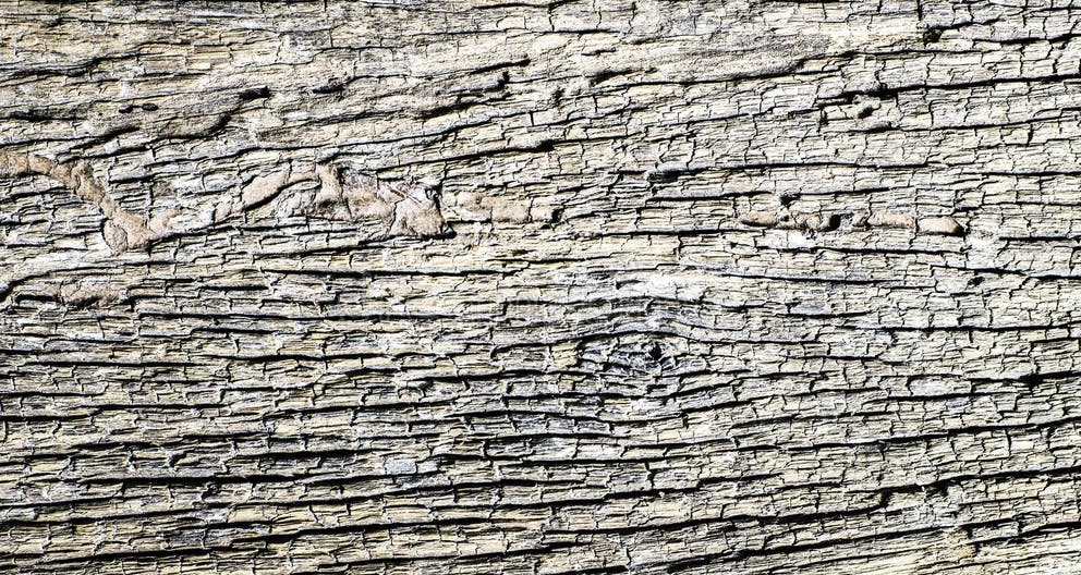 The Texture and Natural Pattern of the Old and Natural Teak Wood of the ...