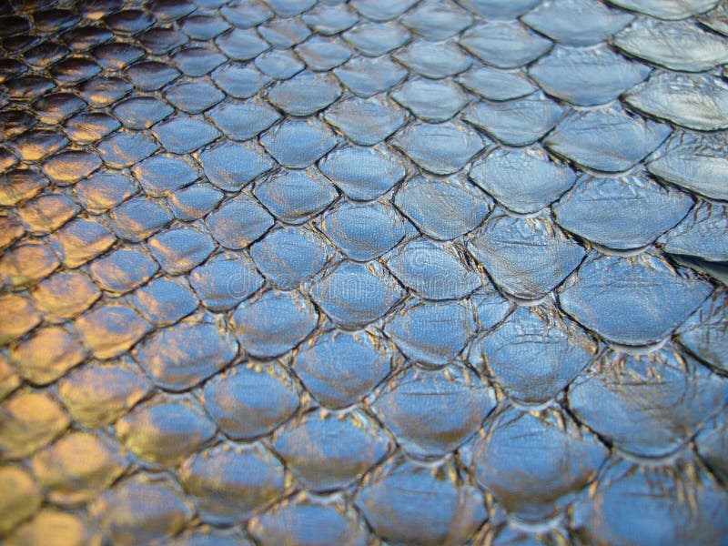 Snakes Silver Gold Stock Photos - Free & Royalty-Free Stock Photos from ...