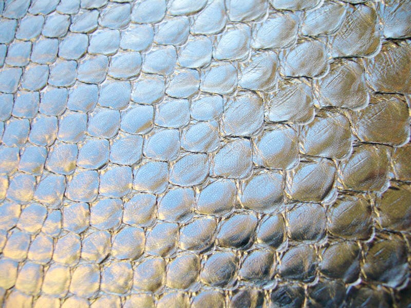 111 Snakes Silver Gold Stock Photos - Free & Royalty-Free Stock Photos ...