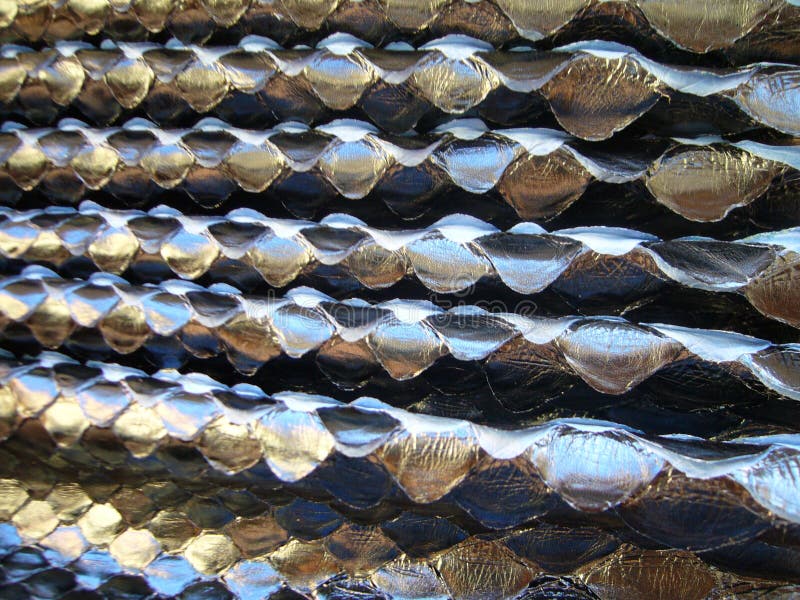 111 Snakes Silver Gold Stock Photos - Free & Royalty-Free Stock Photos ...