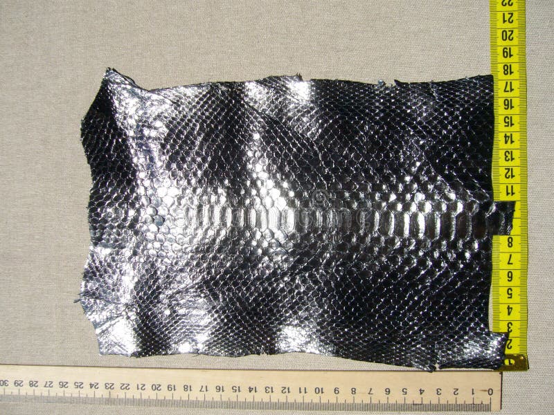 Snakes Silver Gold Stock Photos - Free & Royalty-Free Stock Photos from ...