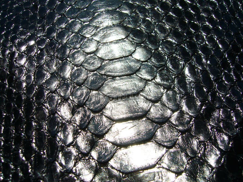 111 Silver Snakes Stock Photos - Free & Royalty-Free Stock Photos from ...