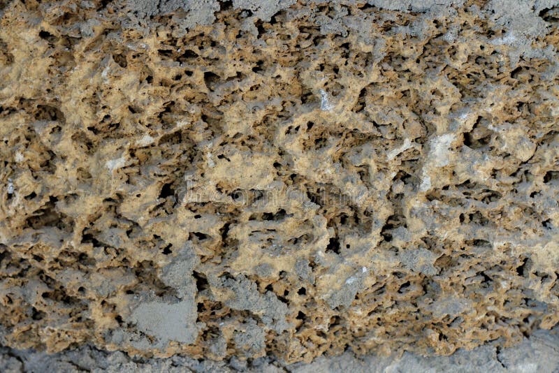 Texture of Natural Stone. Background of Shellstone Stone Stock Image ...