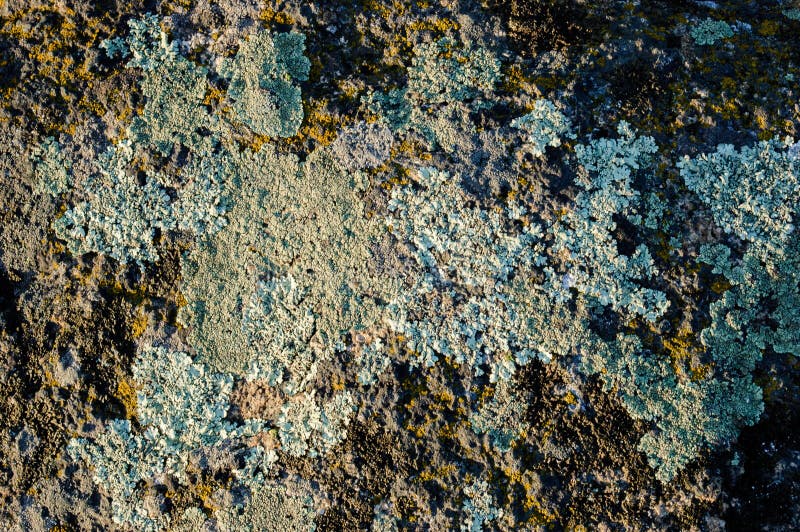 The Texture of Natural Stone Overgrown with Moss. Granite. Rock ...