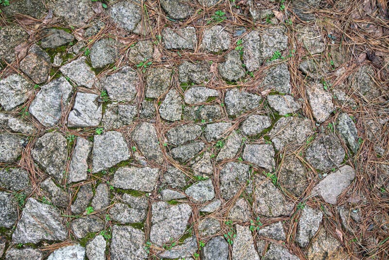 Texture of Natural Stone and Pine Needles Stock Image - Image of large ...