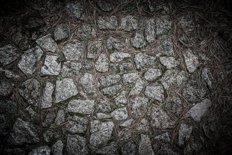 Texture of Natural Stone and Pine Needles Stock Image - Image of ...
