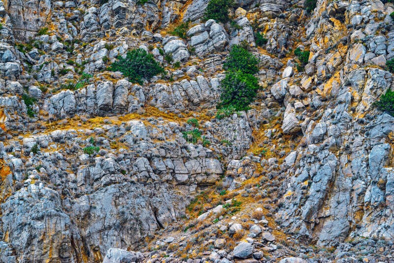 Bumpy Rock Texture stock photo. Image of messy, detail - 41442458