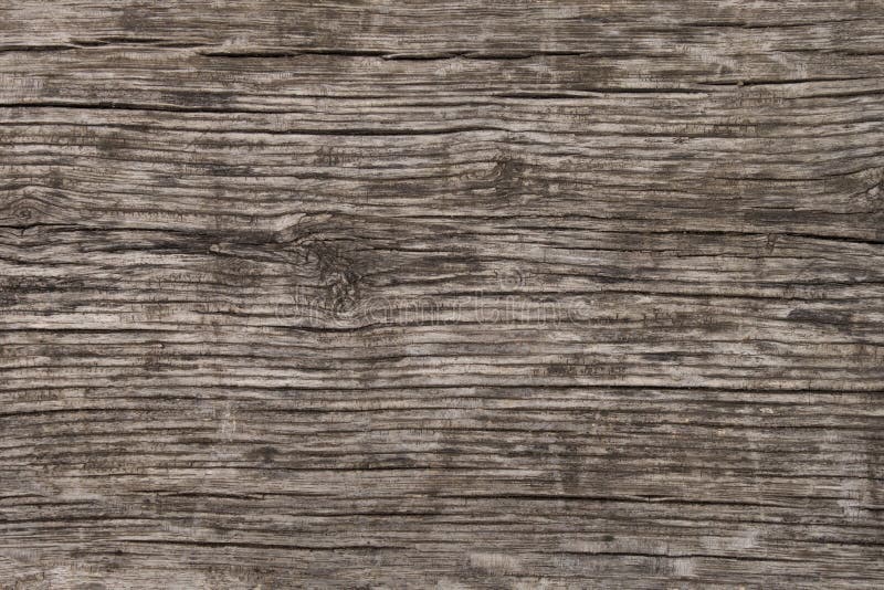 The Texture of Natural Wood. Very Old Weathered Pine Surface Stock ...
