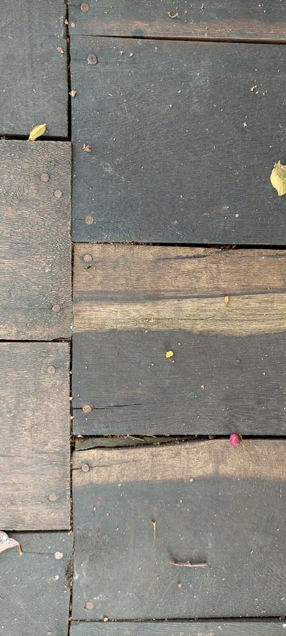 Texture, Nature, Woods, Forest, Object Stock Image - Image of woods ...