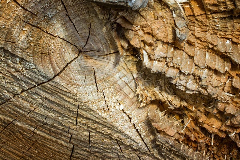 Texture of Not Smooth Wooden Frame Surface with Cracks Stock Photo ...