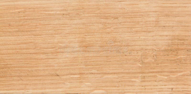 Texture of oak stock image. Image of history, annual - 28979967