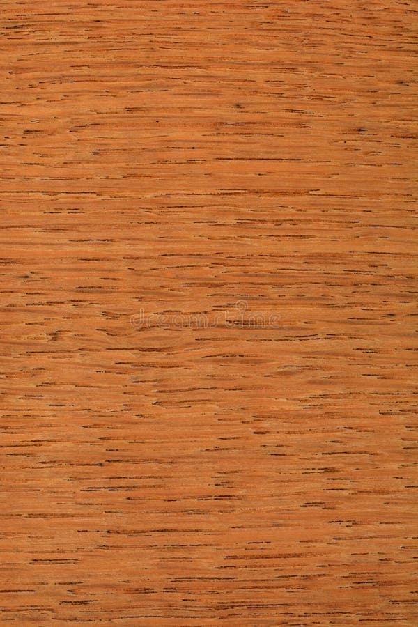 Texture of the Oak Plank, Close Up Stock Photo - Image of interiors ...