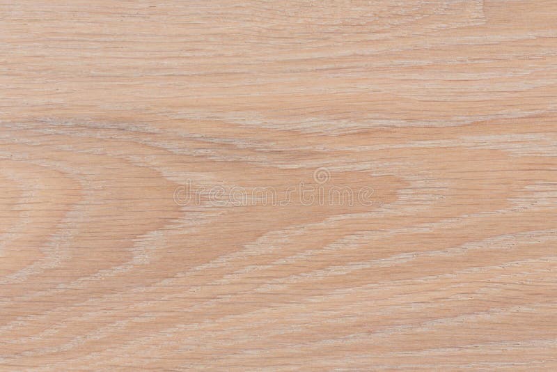 Texture of Oak Wood Pattern Background, Low Relief Texture of the ...