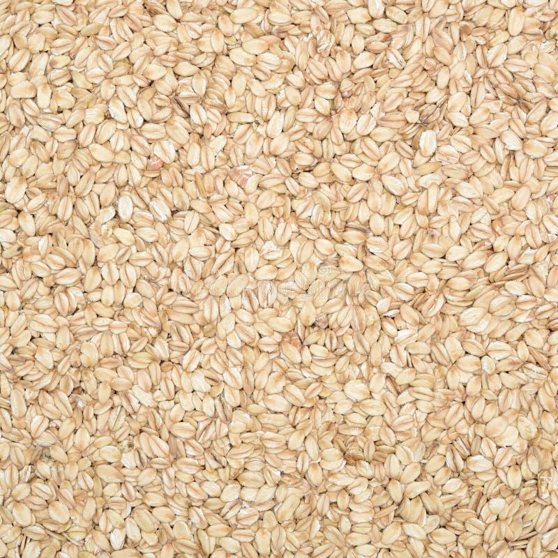 Oatmeal grains stock image. Image of grain, breakfast - 14090327