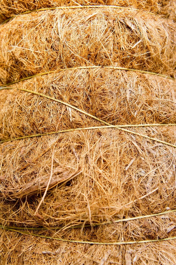 16+ Coconut fiber texture Free Stock Photos - StockFreeImages