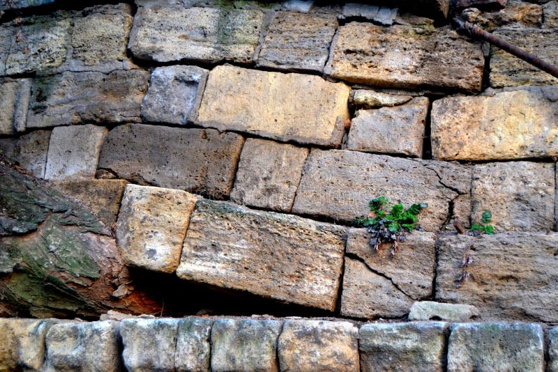 Seashell Bricks Stock Photos - Free & Royalty-Free Stock Photos from ...