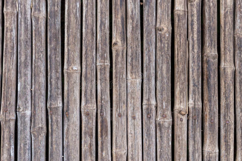 Texture of old bamboo stock photo. Image of bundle, material - 227367362