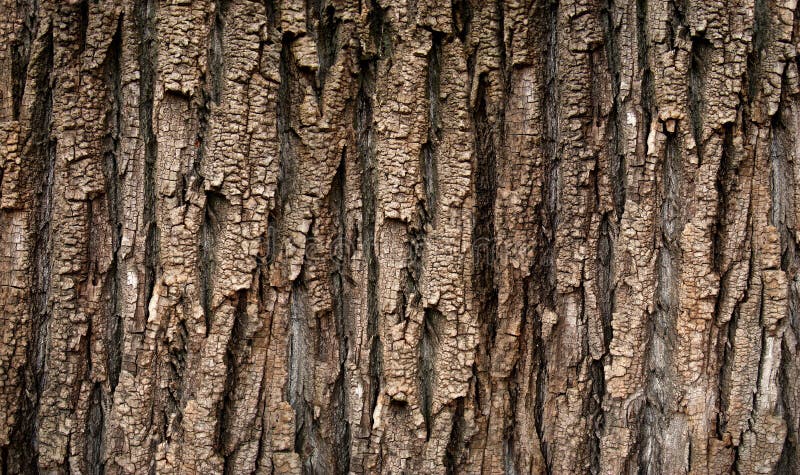 Barck Abstract Texture Stock Photos - Free & Royalty-Free Stock Photos ...