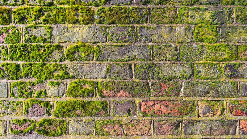 Mossy Brick Texture