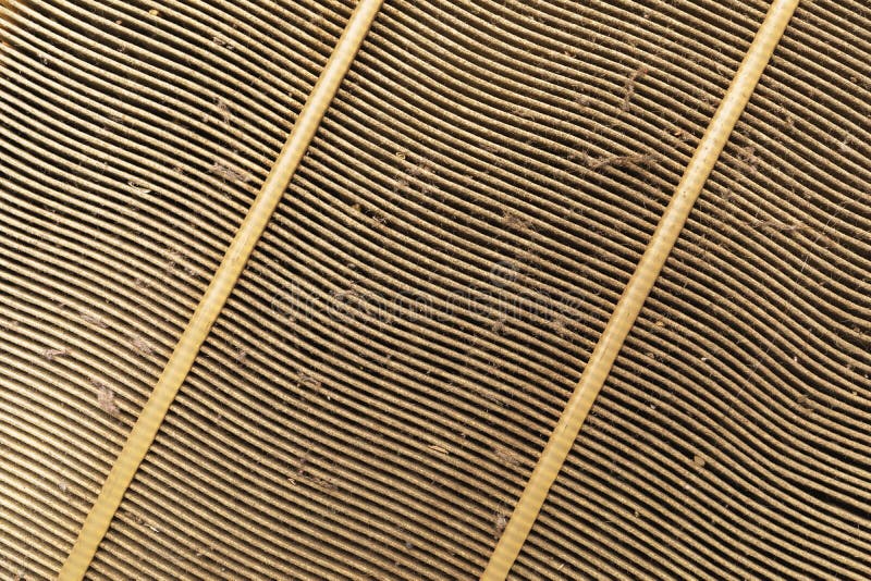 Texture of the New Engine Cooling Radiators Stock Photo - Image of ...
