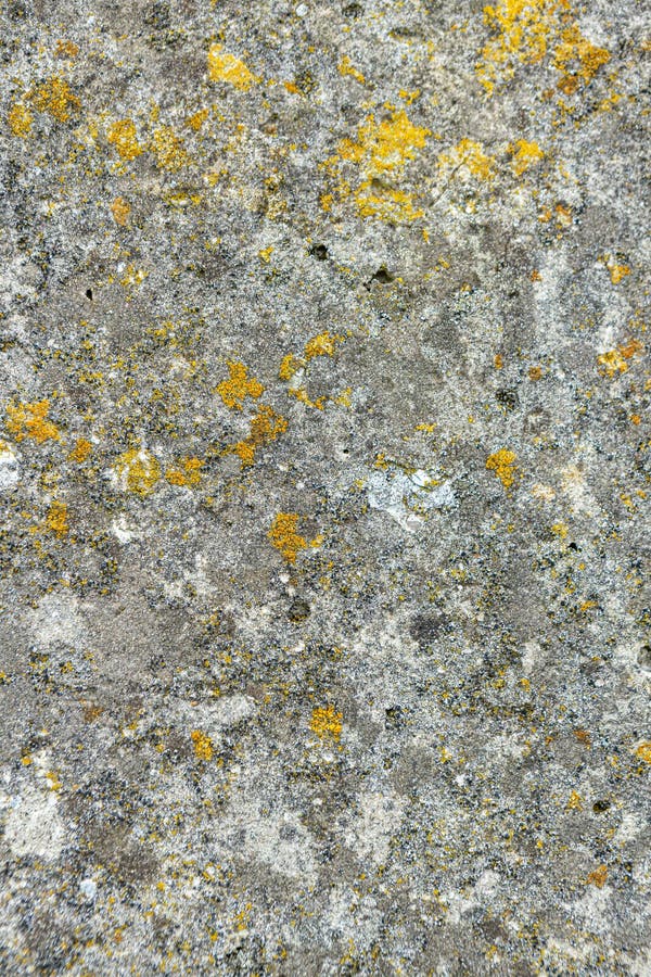 Texture of Old Concrete, Background for Design Stock Photo - Image of ...