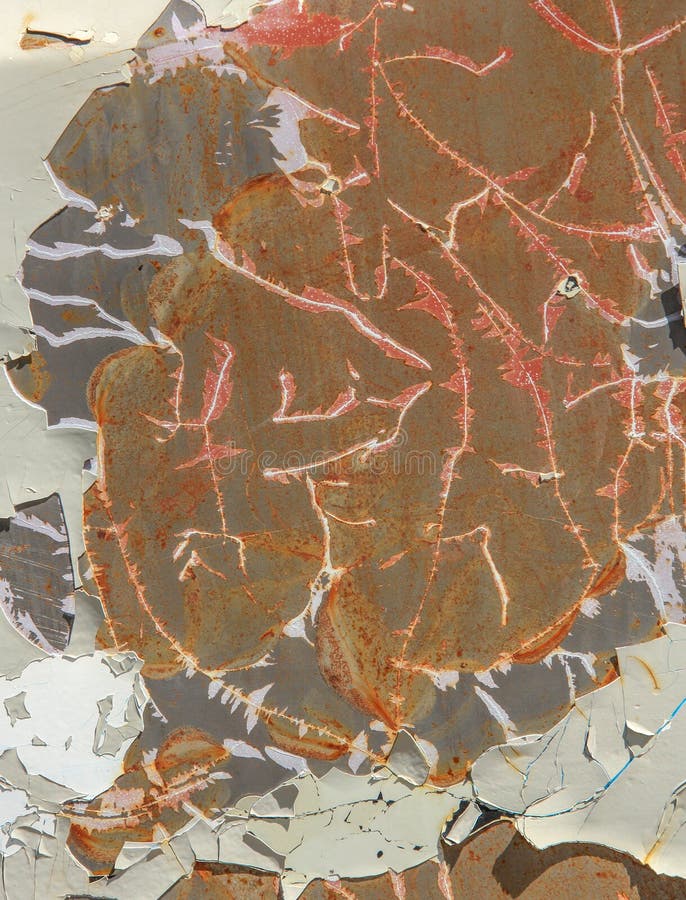 Texture of Ferruginous Red Ferralsol or Laterite Soil South Africa ...