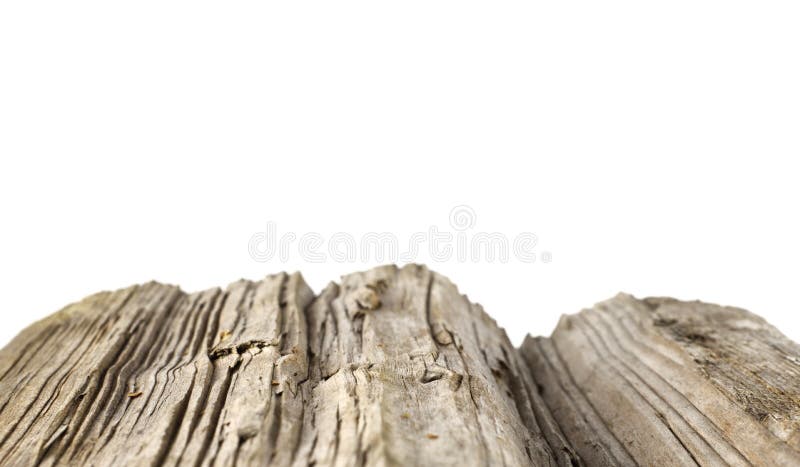 Texture of Old Gray Log in Perspective View Stock Image - Image of ...