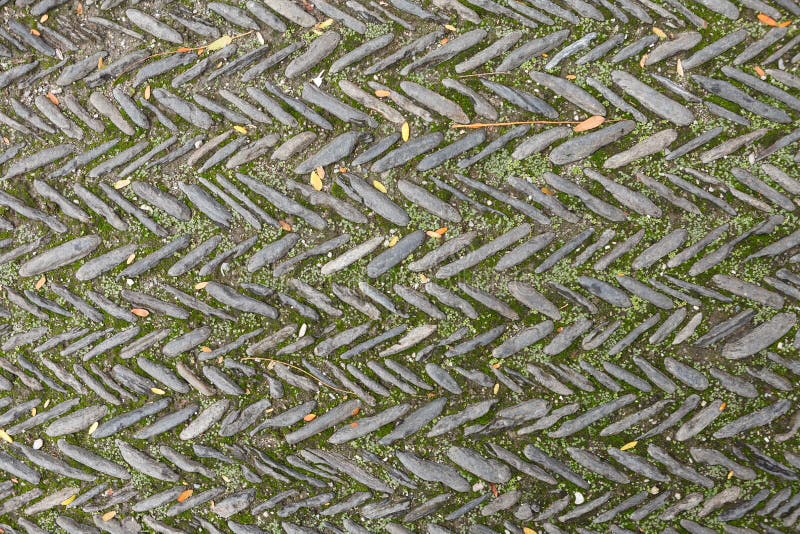 The Texture of the Old Herringbone Pavement of Bricks Stock Photo ...