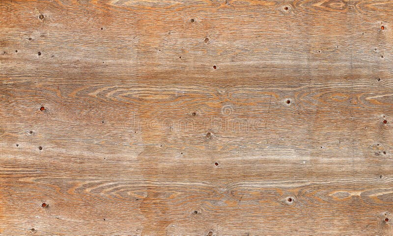Texture of an Old Light-colored Veneer Sheet with a Lot of Knots As a ...