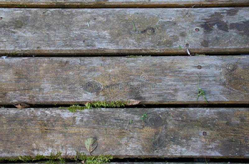 Texture of old moss board stock image. Image of timber - 154518255