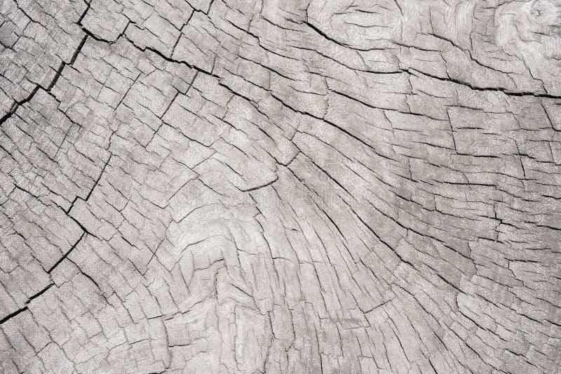 Texture Old Oak Wood Background , Dirty Old Wooden Stock Image - Image ...