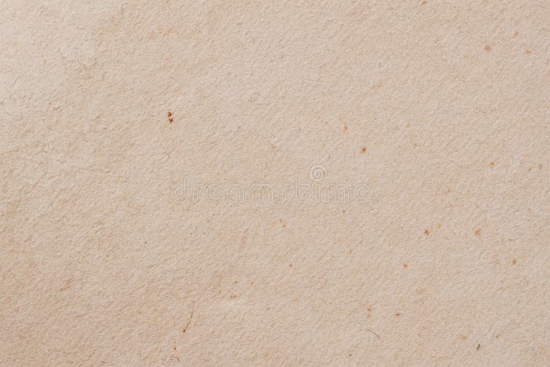 Organic Paper Texture