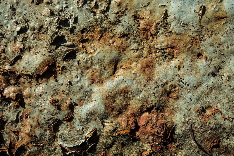 Texture of Old Painted Surfaces Stock Photo - Image of antique, surface ...