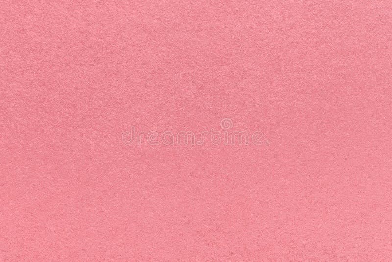 Texture Of Old Pink Paper Background, Closeup. Structure Of Dense Rose ...