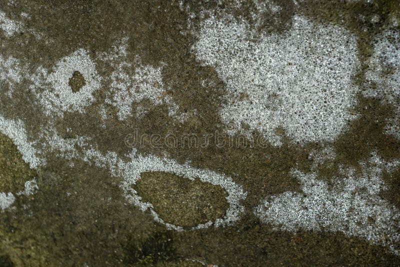 Texture of Old Raw Moldy Stone Cement Wall Ice Crust Frost Ice for 3D ... Texture of Old Raw Moldy Stone Cement Wall Ice Crust Frost Ice for 3D ...