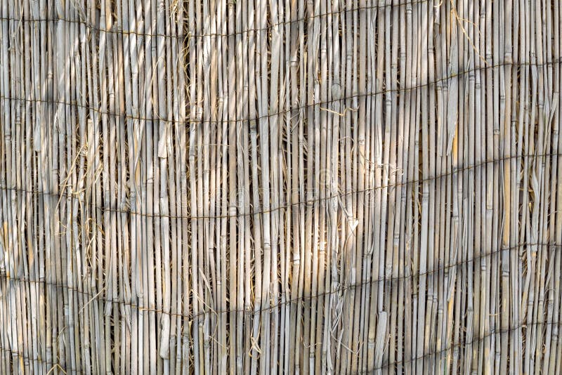 Texture of an Old Reed Curtain Stock Photo - Image of natural, straw ...