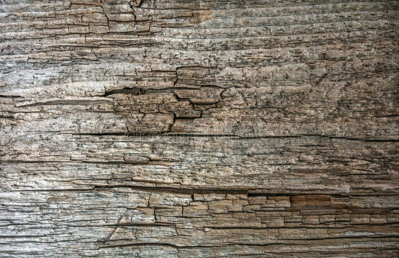 The Texture of the Old Rotten Board is Gray Stock Image - Image of ...