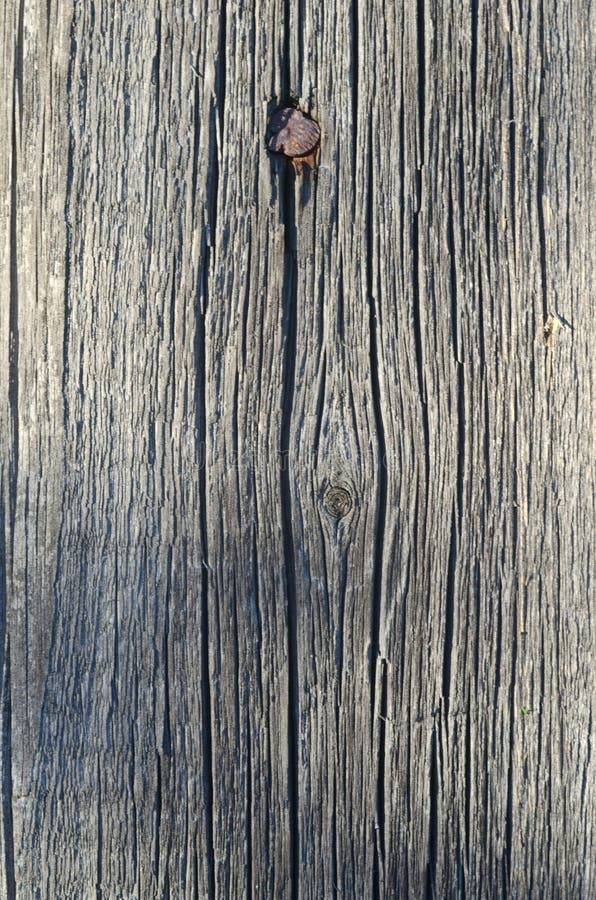 Texture of the Old Rough Wood Stock Photo - Image of branch, texture ...