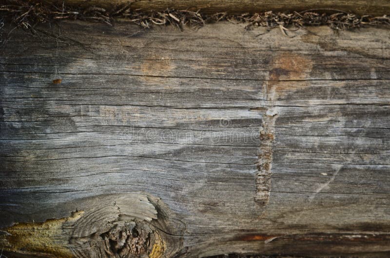 Texture of the Old Rough Wood Stock Photo - Image of wood, natural ...