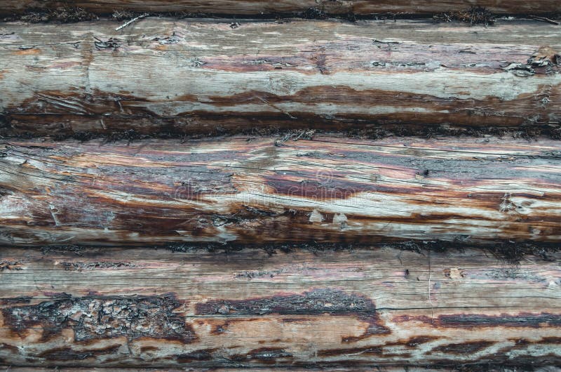 Texture of Old Round Wood, Natural Background Stock Photo - Image of ...