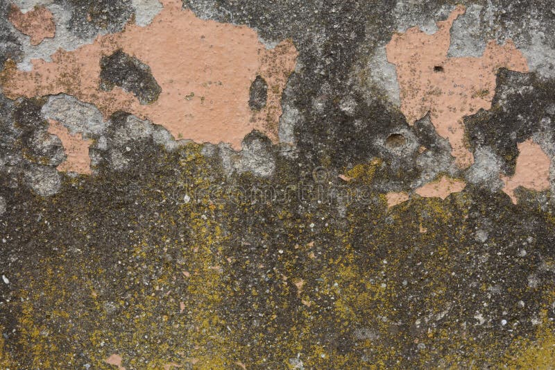 Texture of Old Rustic Wall Covered with Terracotta Stucco Stock Photo ...