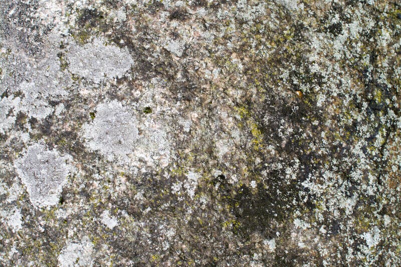 Texture of Old Stone. Background Stock Image - Image of rock, cement ...