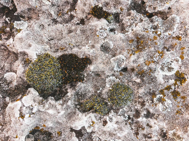 Texture of Old Stone Close Up. Natural Background with Stone Pattern ...