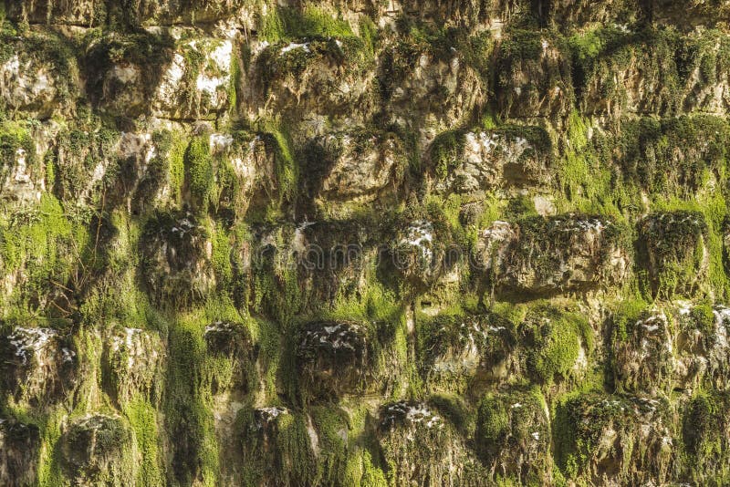 Texture of the Old Stone Moss-covered Wall Stock Photo - Image of ...