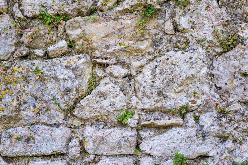 Texture Old Stone Wall of Ancient Fortress Stock Image - Image of ...