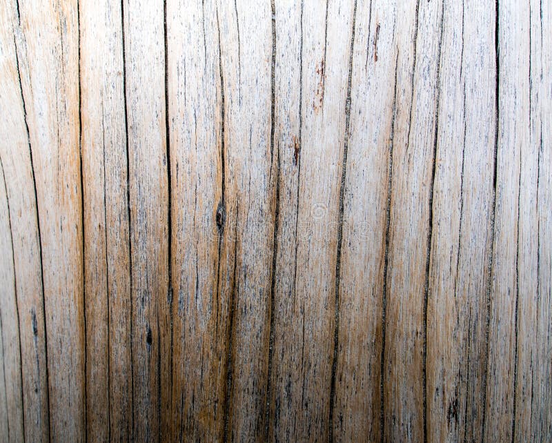 Texture of Old Stump Wood Surface Stock Photo - Image of space, nature ...