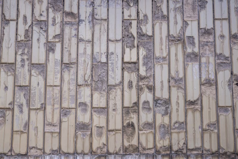 Texture of old tiles stock photo. Image of design, home - 97072230