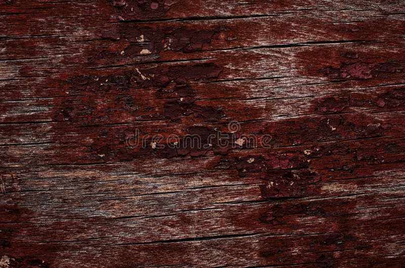 Texture old tree stock image. Image of brown, material - 43733173