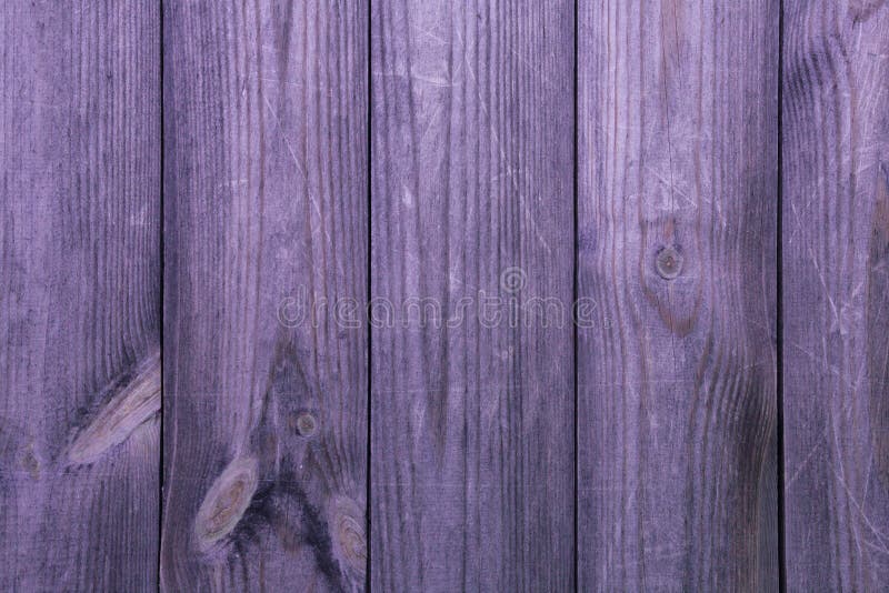 Texture Old Tree Close-up Violet Color Stock Image - Image of hardwood ...